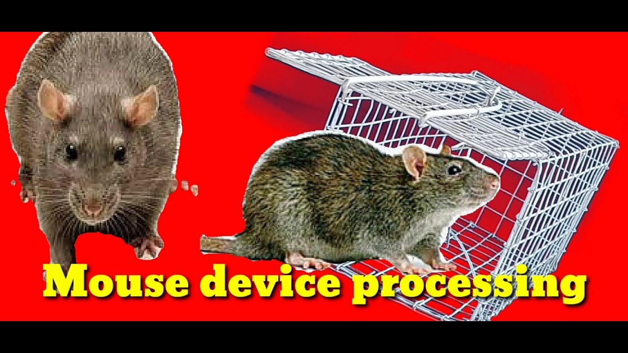 Mouse Device Processing Youtube