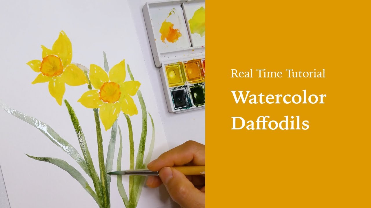Watercolor Tutorial For Beginners Daffodils Real Time Youtube