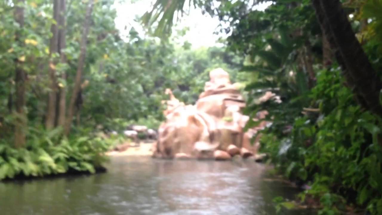 Junglep Youtube