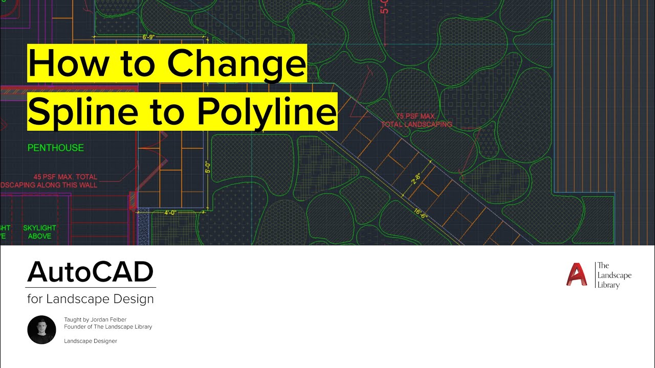Cad Line To Polyline At Jamie Rooke Blog