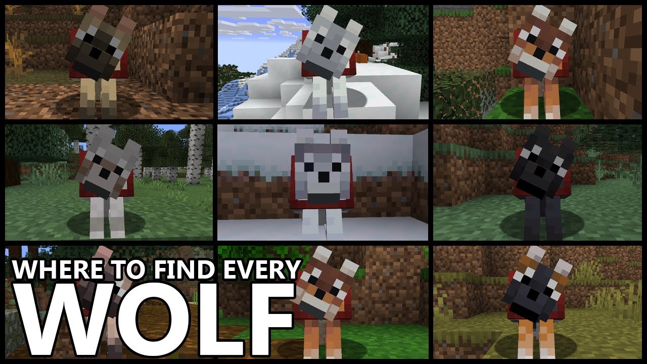 Where To Find Every Wolf In Minecraft Youtube