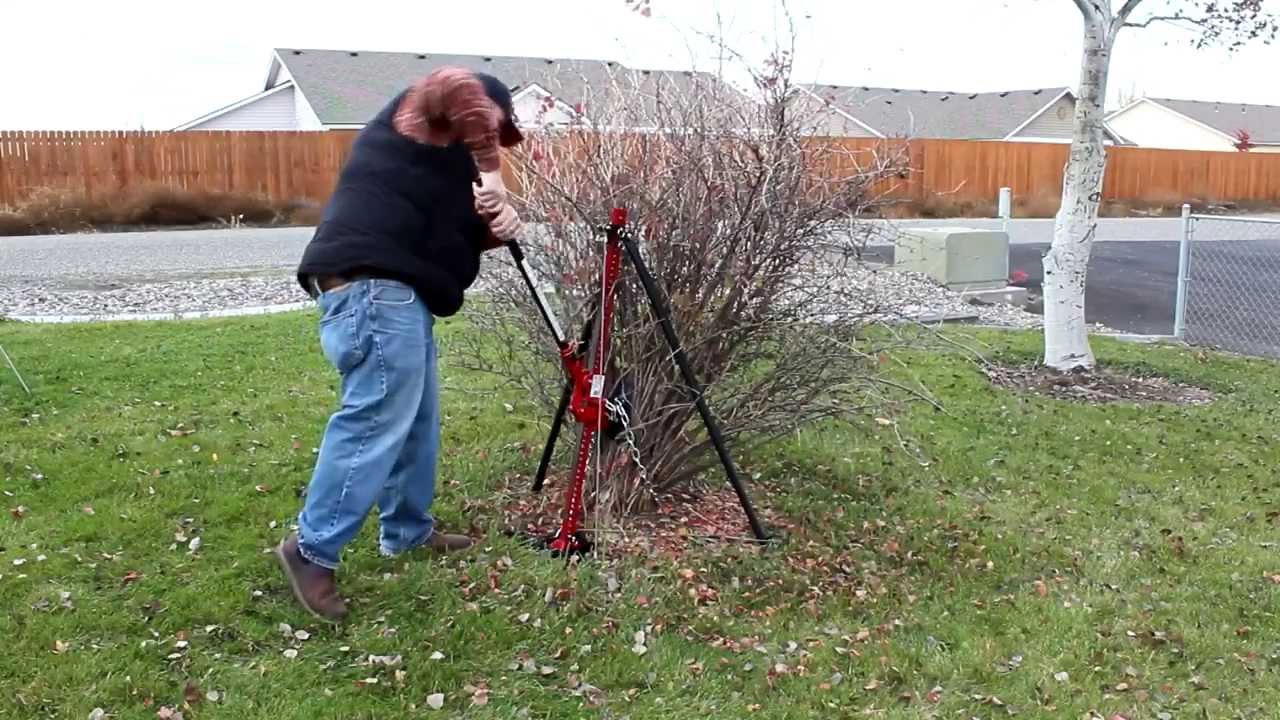 How To Remove Shrubs The Easy Way Youtube