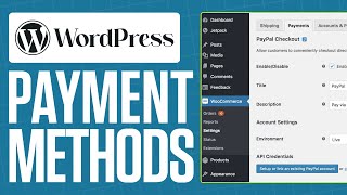 Step By Step Guide Adding Payment Methods In Wordpress 2024 Synthmind