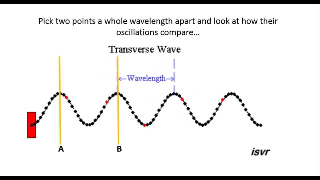 Phase Definition Physics Waves Great Selection Brunofuga Adv Br