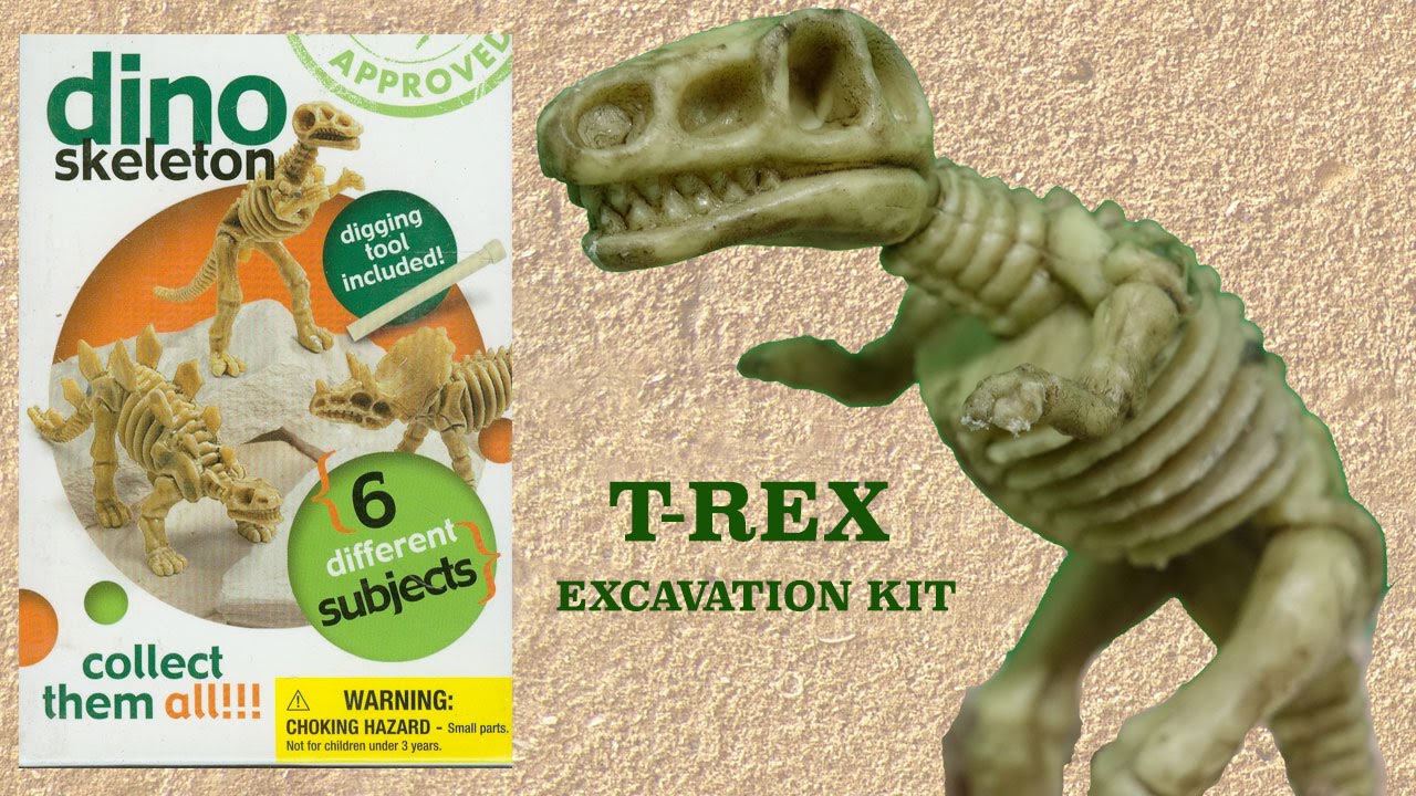 Dino Excavation Kit Dig And Discover T Rex Skeleton Fossil By Dreambox