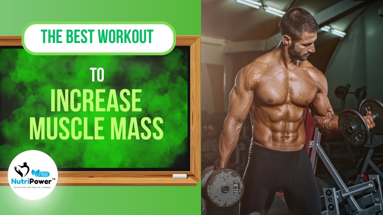 The Best Workout To Increase Muscle Mass Youtube