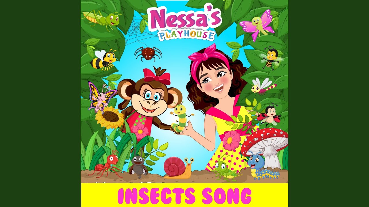 Insects Song Youtube