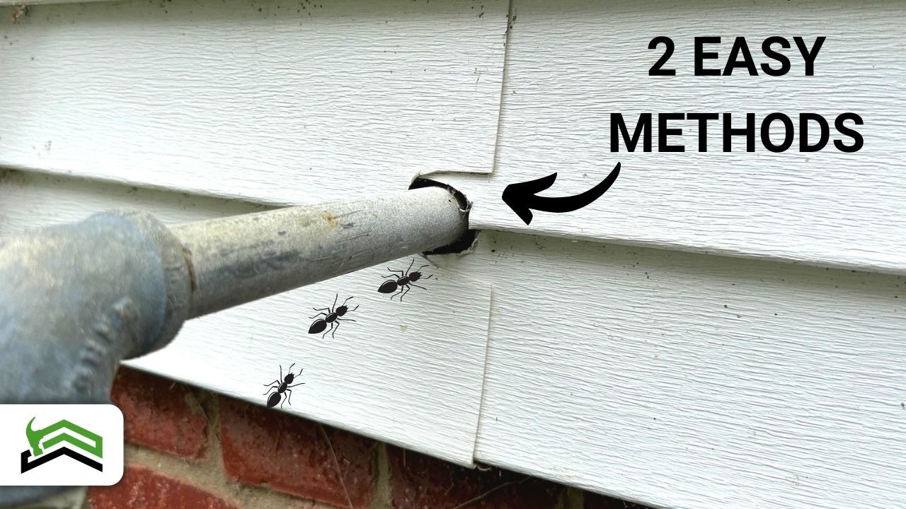 How To Seal Gaps And Holes In Siding Keep Bugs And Cold Out Youtube