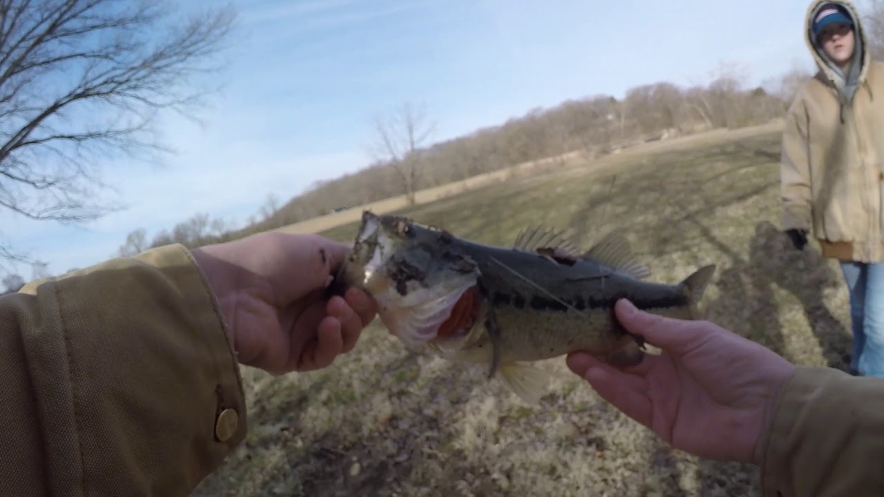 Pond Fishing Youtube
