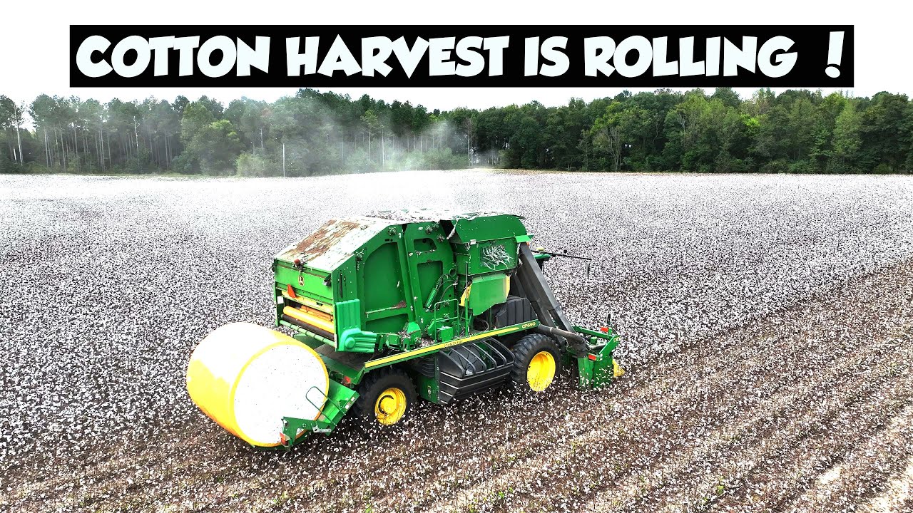 We Are Off To A Great Start On Cotton Harvest Youtube