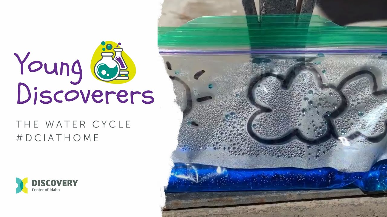 Young Discoverers The Water Cycle Youtube