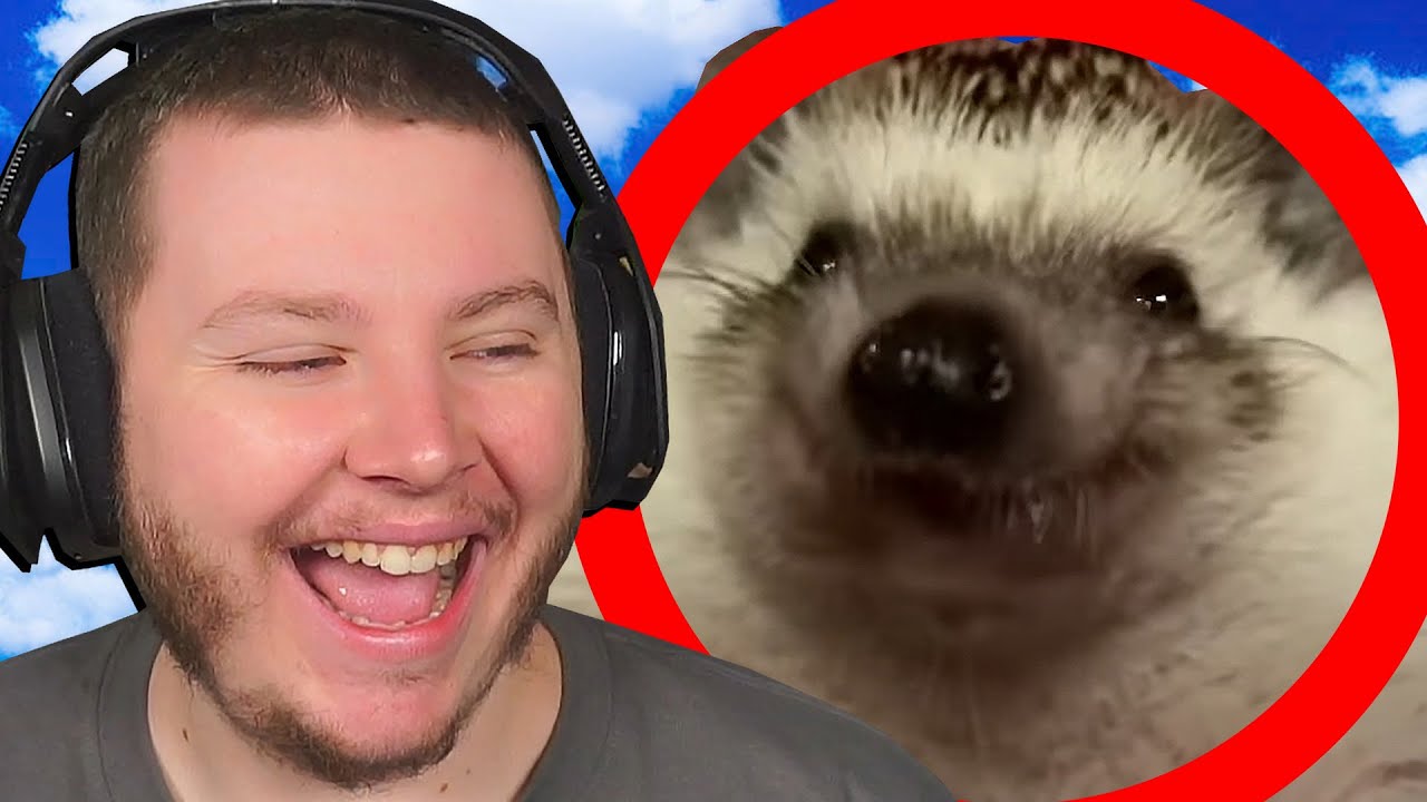 Memes That Will Make You Happy Youtube