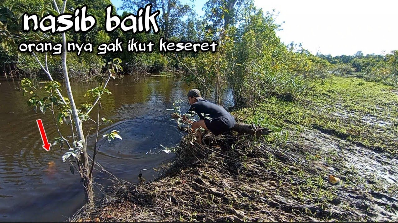 Casting Toman Di Rawa Air Hitam Ketemu Gerombolan Toman Monster Alhasil