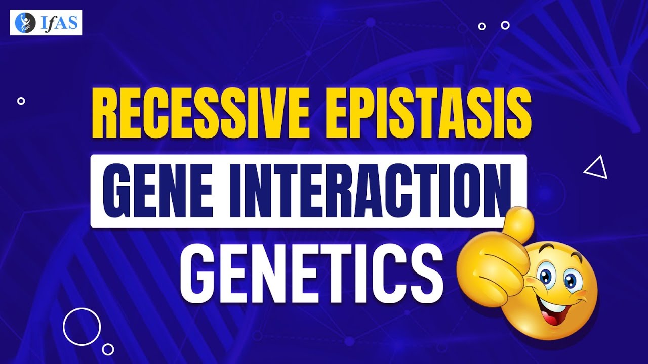Recessive Epistasis Gene Interaction Iit Jam Biotechnology Genetics