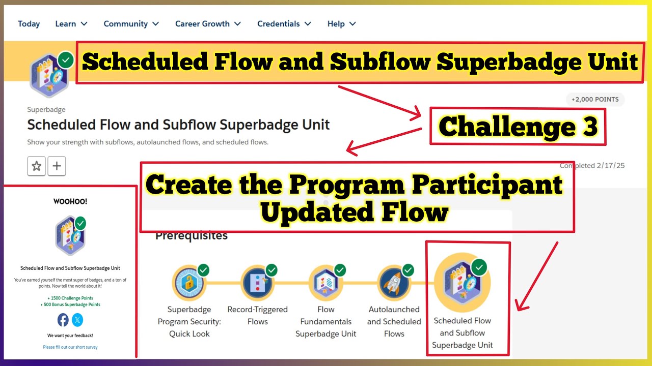 Create The Program Participant Updated Flow Scheduled Flow And