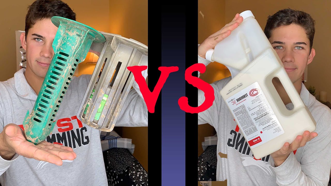 Termite Bait Station Vs Liquid Termite Treatment Youtube