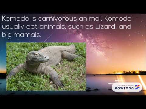 Report Text About Komodo Dragon Youtube
