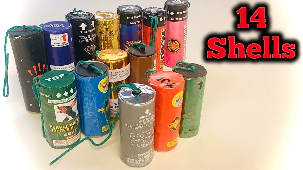 Top 10 Canister Shells At George Havens Blog