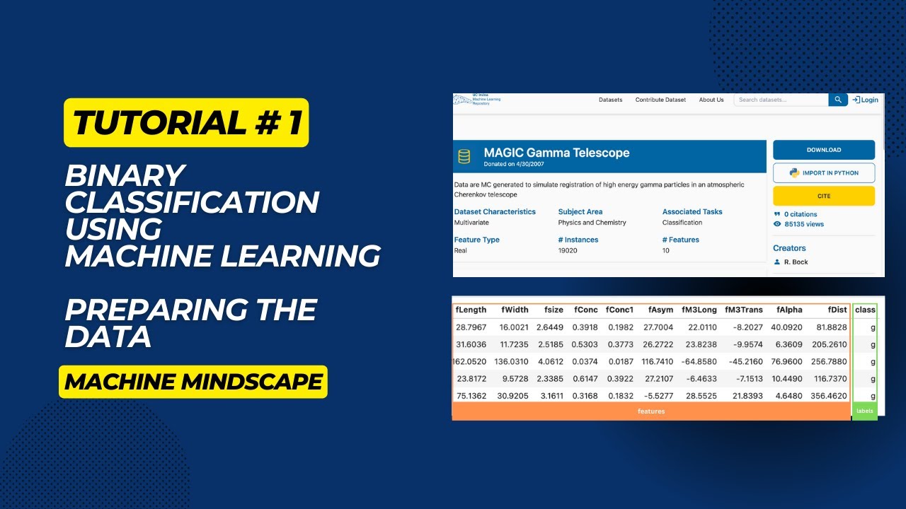1 Binary Classification Using Machine Learning Data Preparation