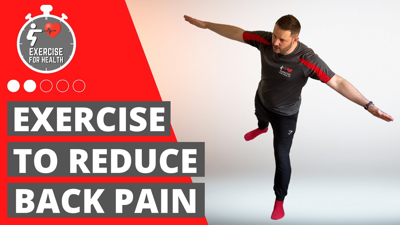 6 Exercises To Reduce Low Back Pain Follow Along Youtube