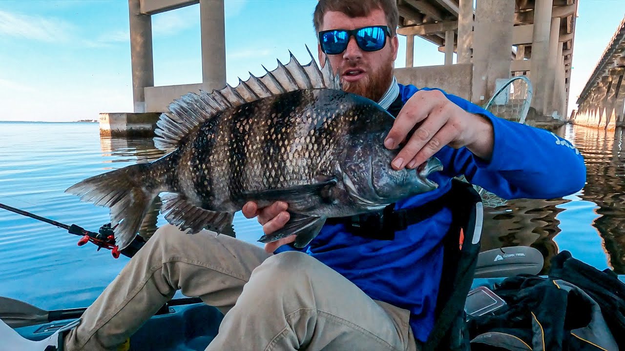 Fishing Bob Sikes Bridge For Sheepshead And A Few Redfish Youtube