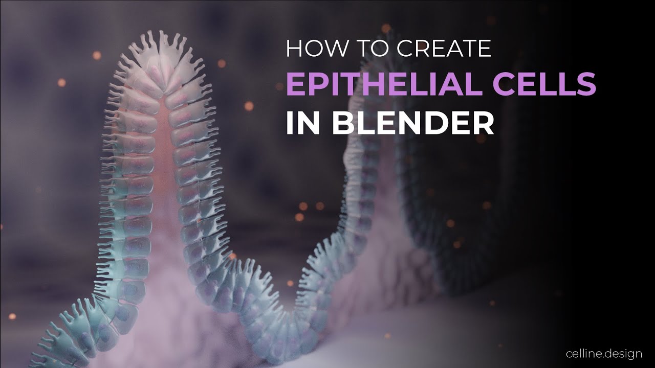 Blender Tutorial 3d Epithelial Cells Beginner Level Youtube