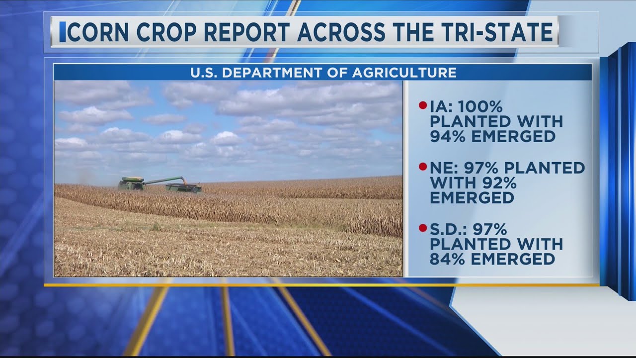 Crop Report Across The Tri State Youtube