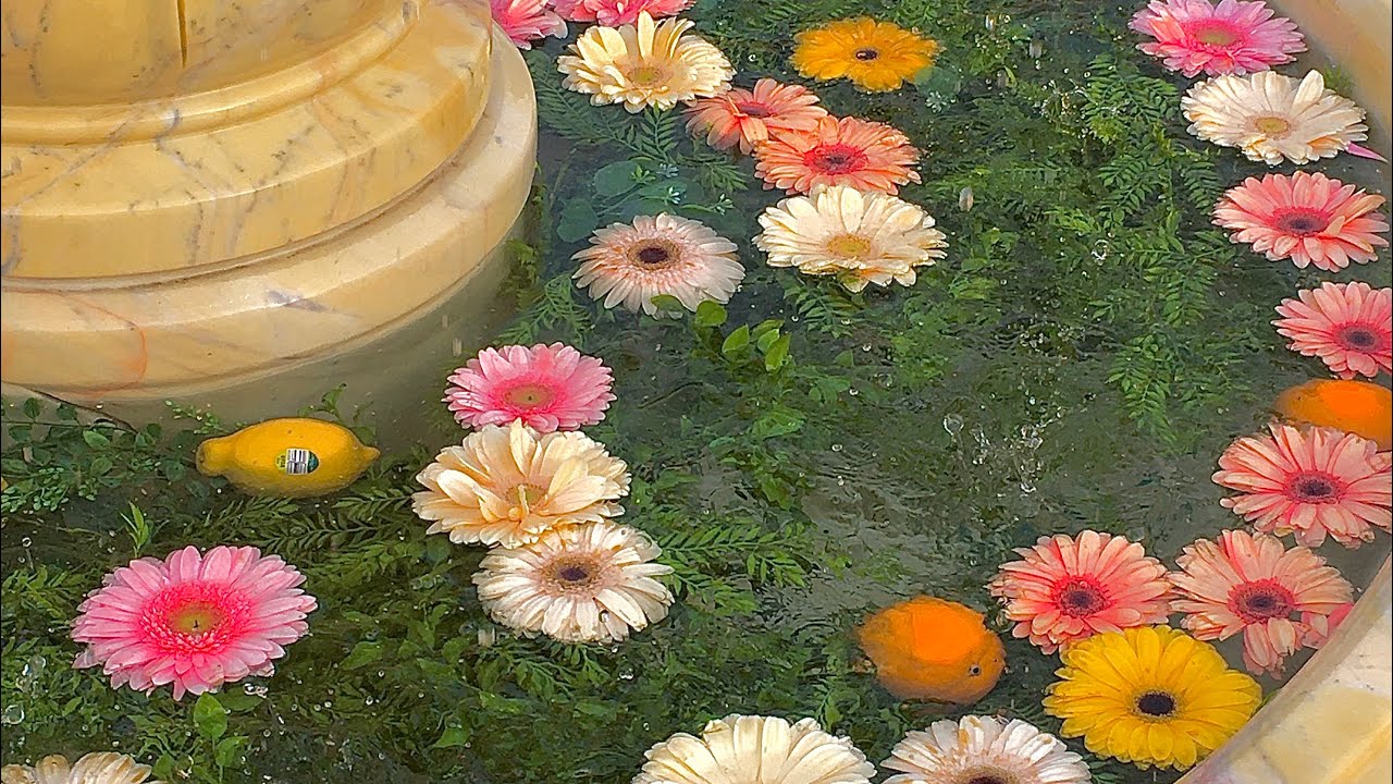 Jeju Vlog ёятнёяна Youtube