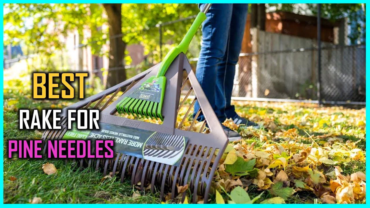 5 Best Rakes For Pine Needles Review Pine Straw Needle Rake