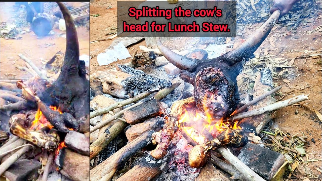 How To Prepare The Cow S Head For Lunch In Africa Uganda Africa