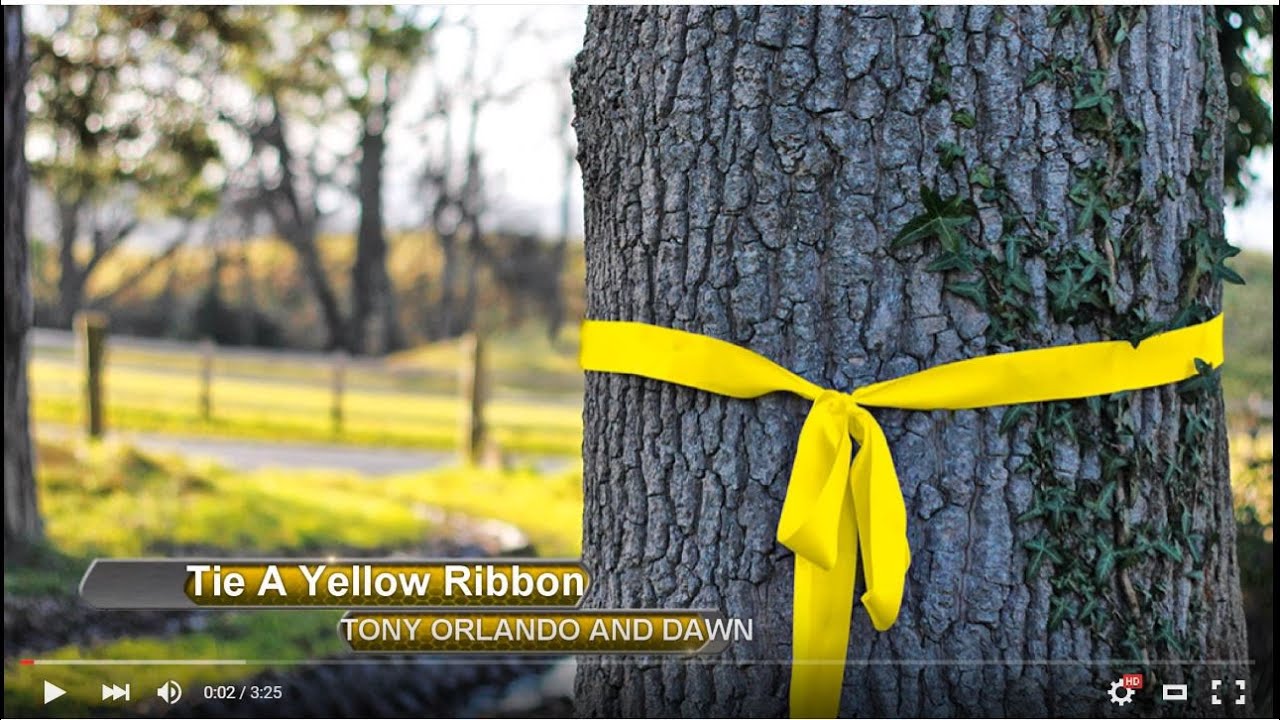 Tie A Yellow Ribbon Round The Ole Oak Tree Bich Thuy Cover Youtube