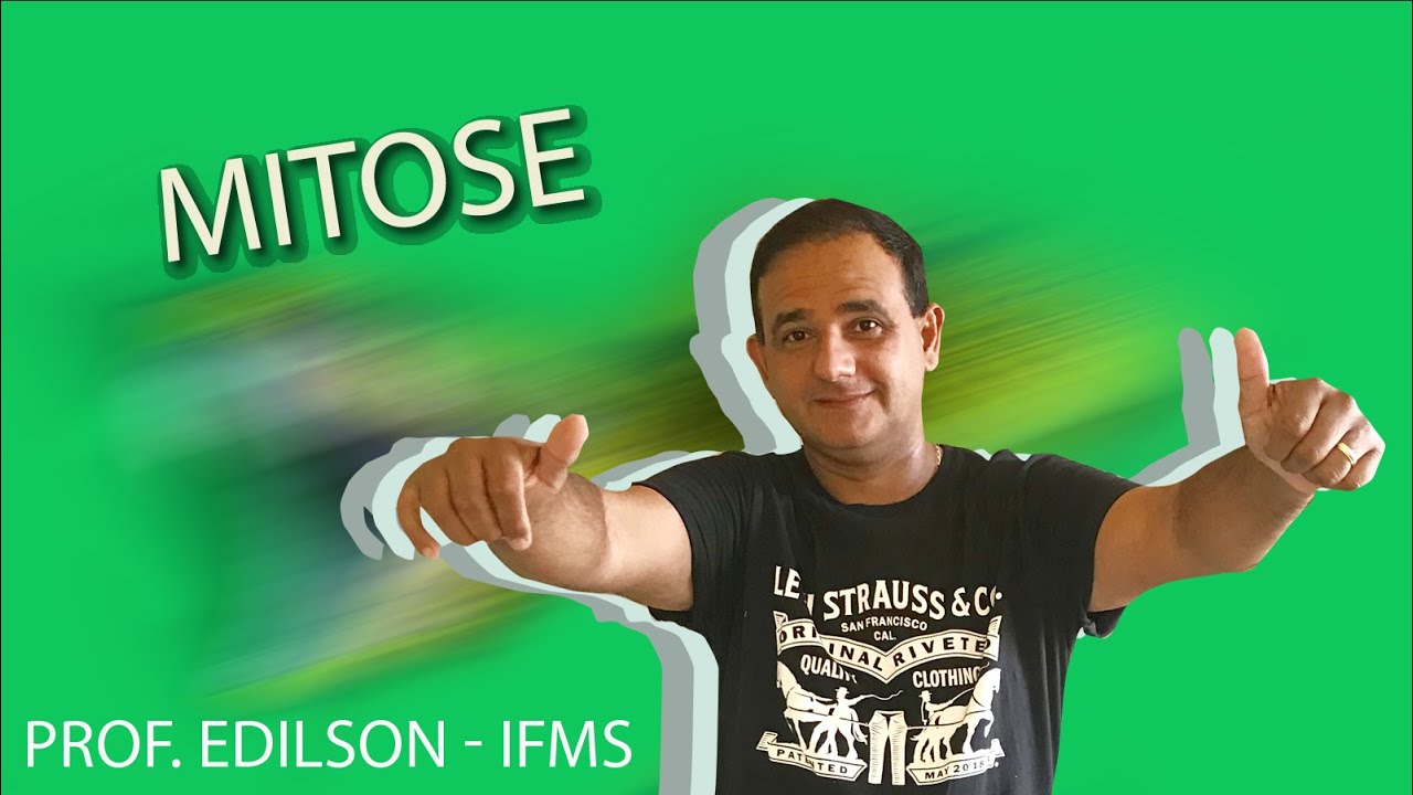 Divisão Celular Mitose Youtube