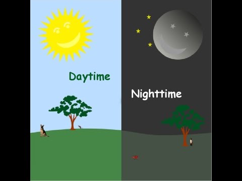 Daytime And Nighttime