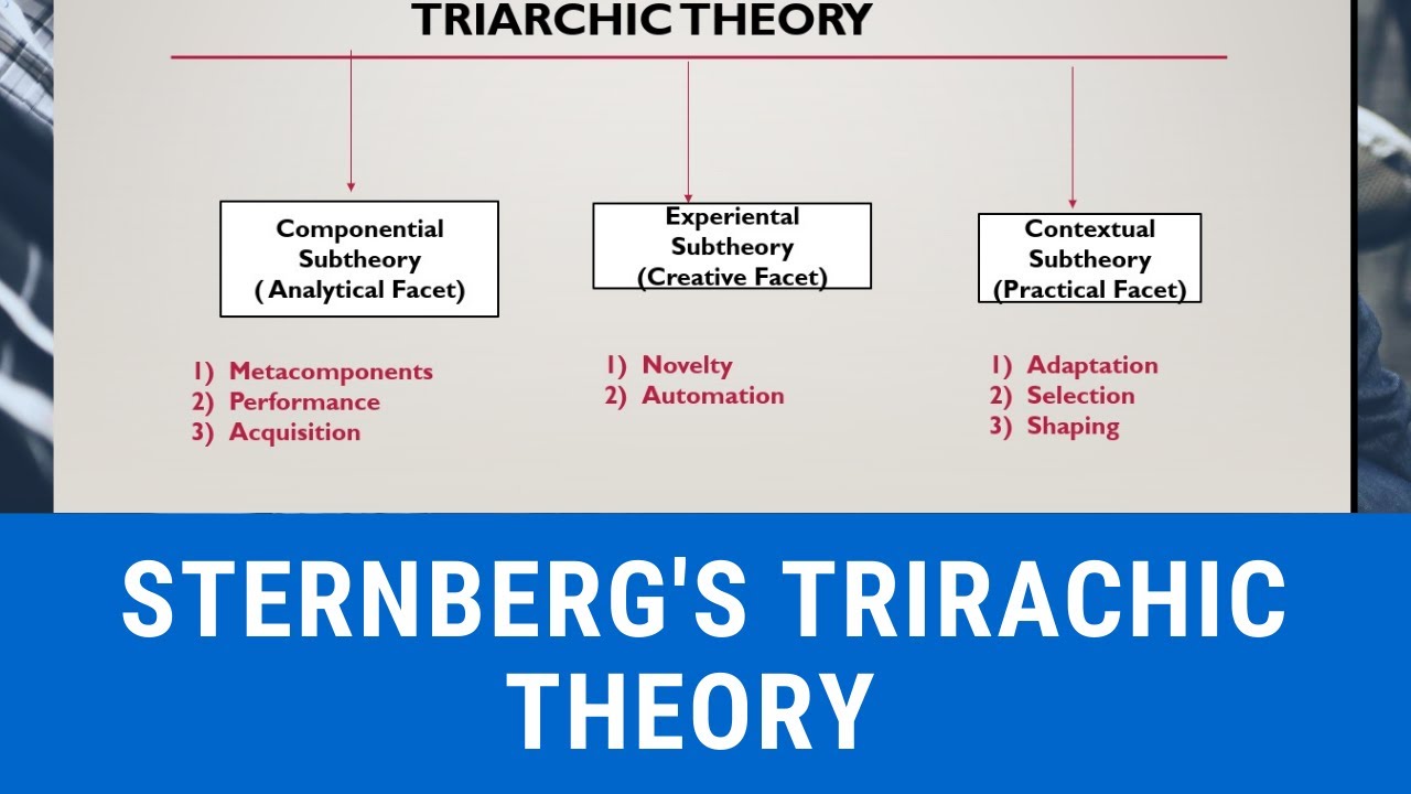 Robert Sternberg Triarchic Theory Of Intelligence