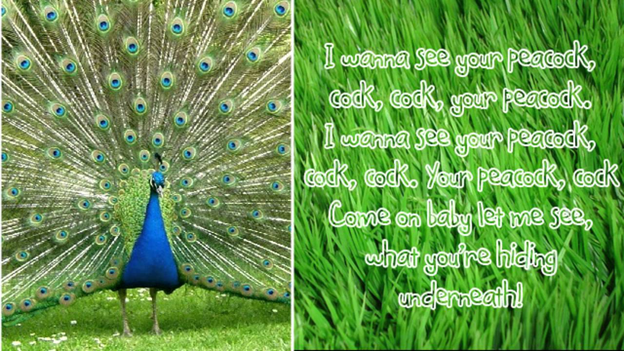 Peacock Katy Perry Lyrics Youtube
