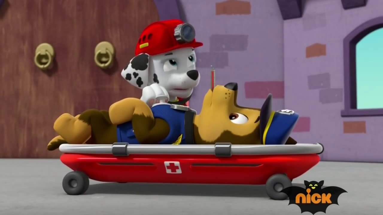 Paw Patrol Chase Is Feeling Sick But But But Youtube