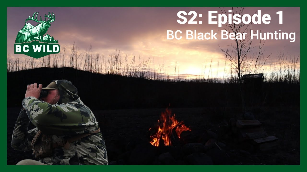 S2 Episode 1 Spring Black Bear Hunting In British Columbia Youtube