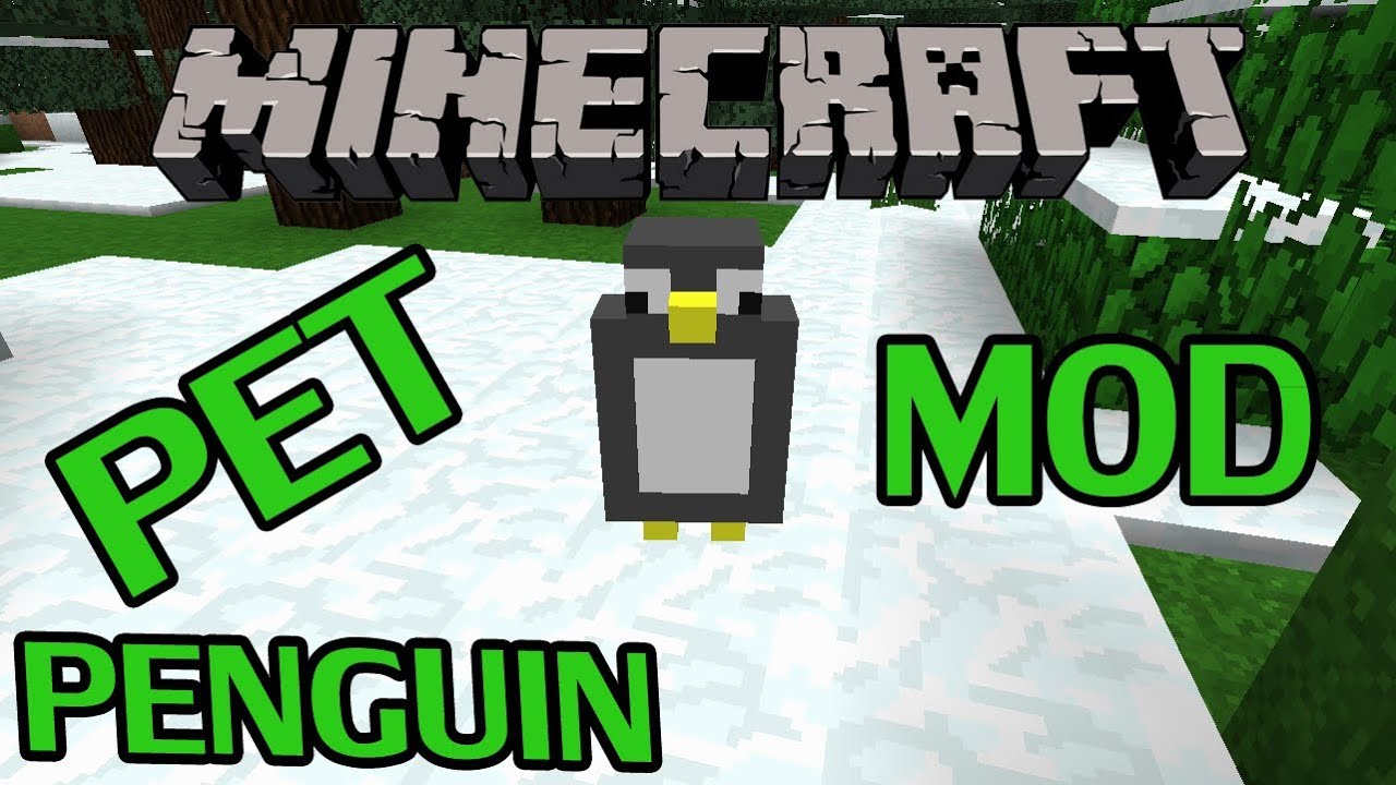 Pet Penguin Mod Mod Spotlight So Cute Youtube