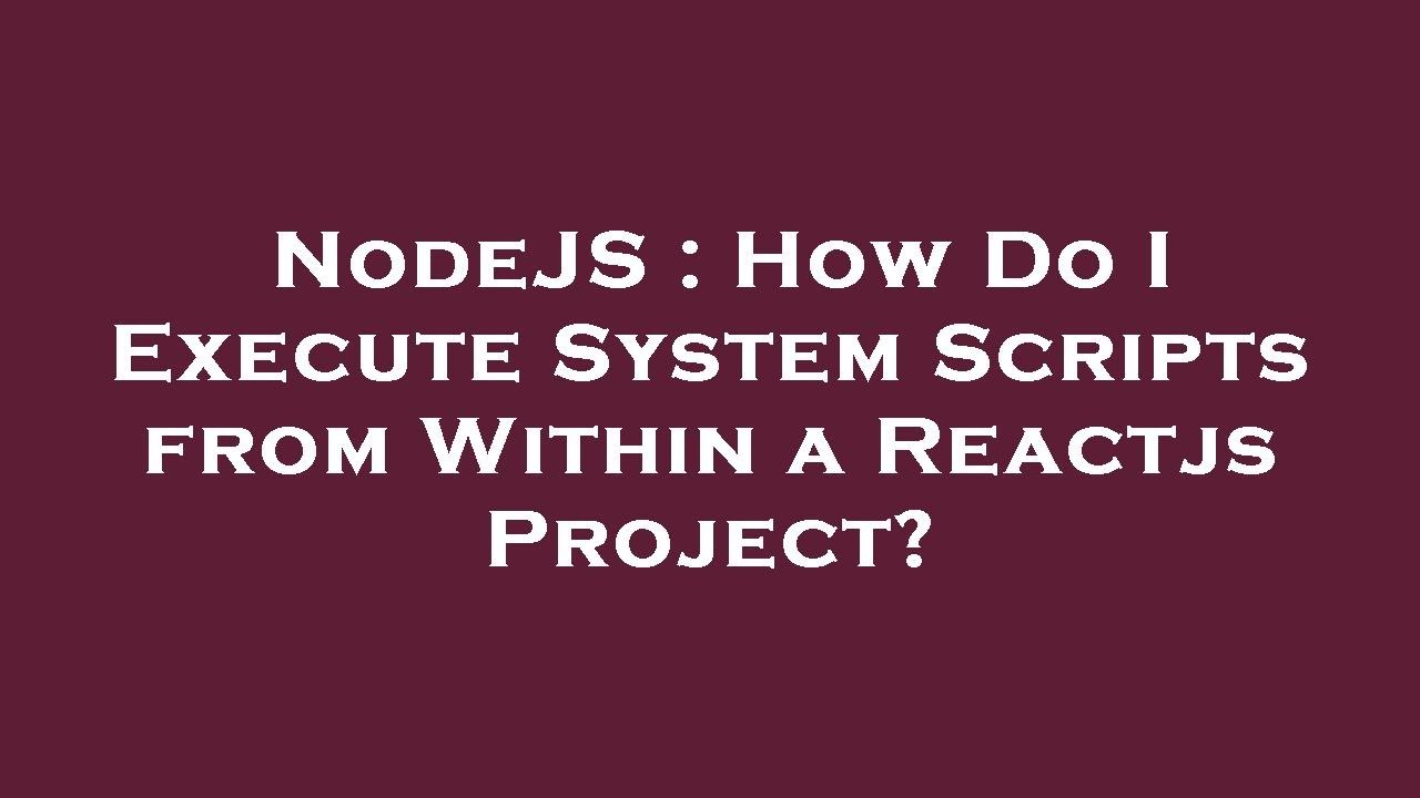 Nodejs How Do I Execute System Scripts From Within A Reactjs Project