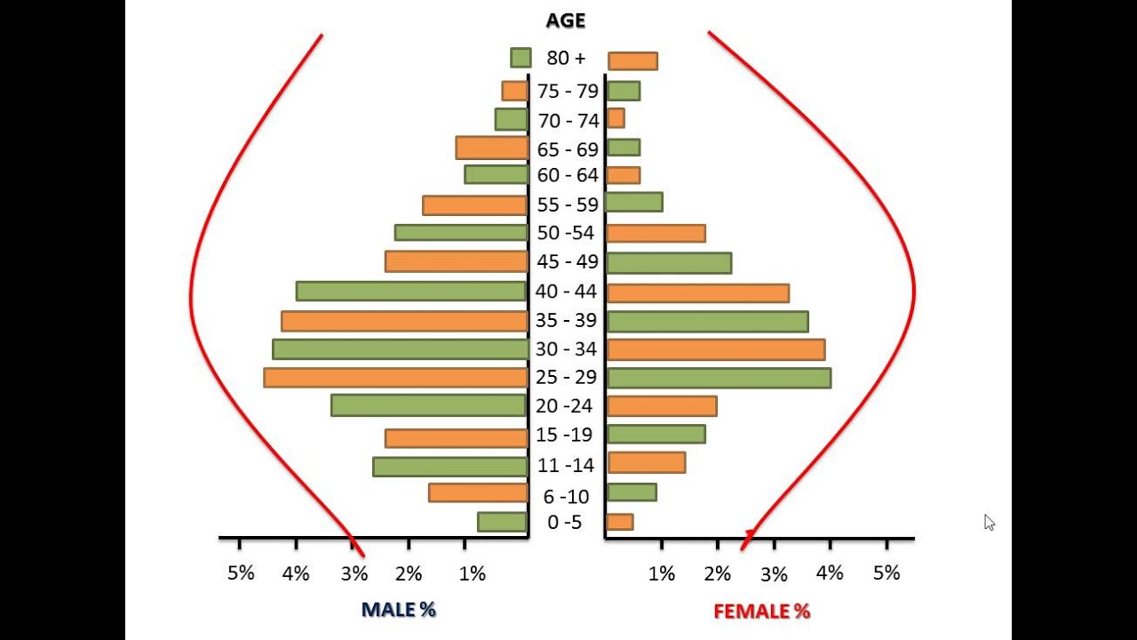 Population Pyramids Youtube