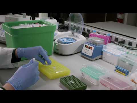 Bd Rhapsody邃 Single Cell Analysis System Bd Rhapsody邃 Whole