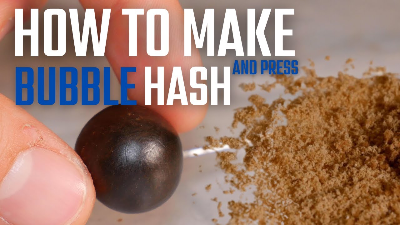 How To Make Bubble Hash Making And Pressing Hash From Trim Youtube