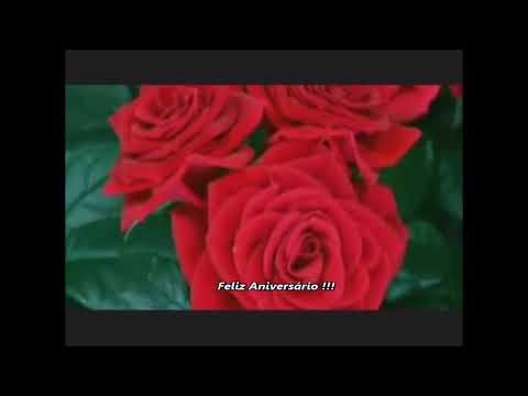 Feliz Aniversário Sueli Youtube