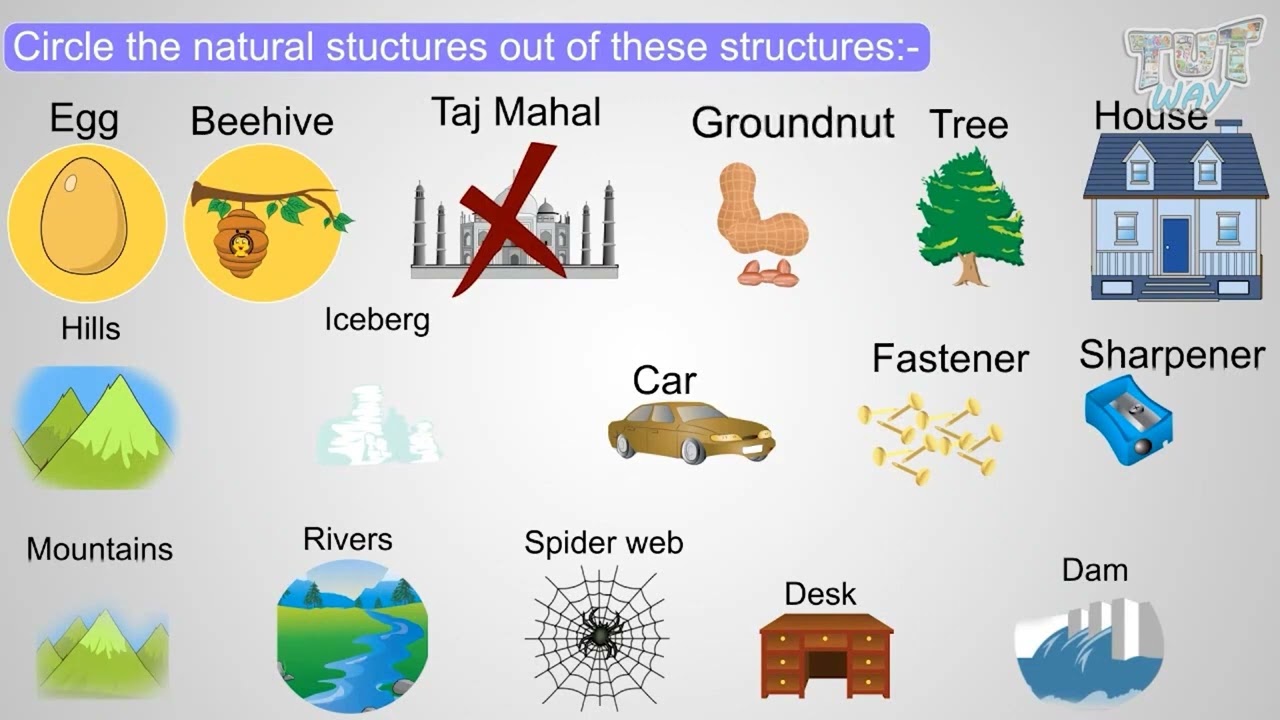 Structures Meaning
