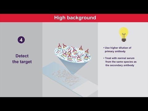 Immunohistochemistry Tips And Tricks For High Background Youtube