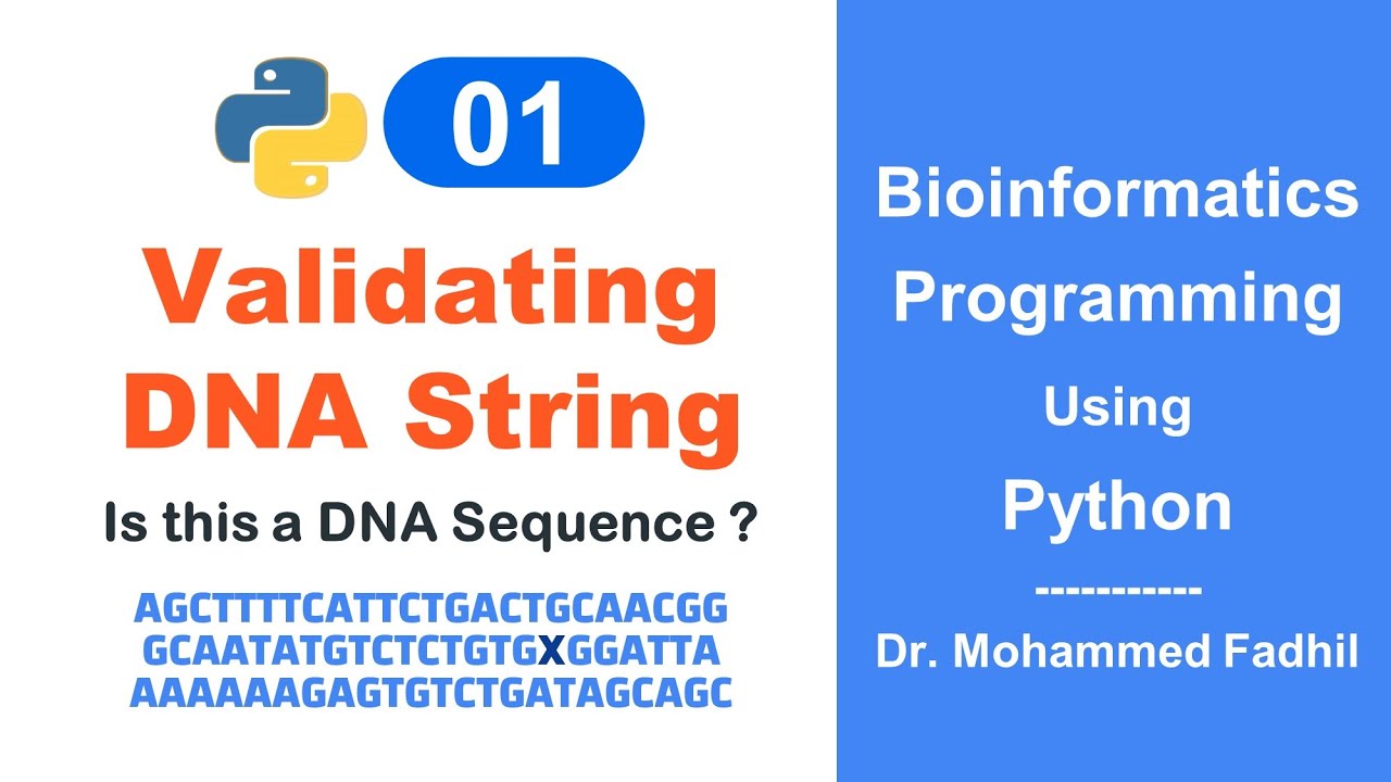 Dna Sequence Validation Using Python Youtube