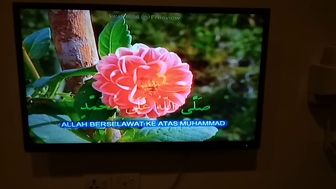 Tv1 Malaysia Youtube