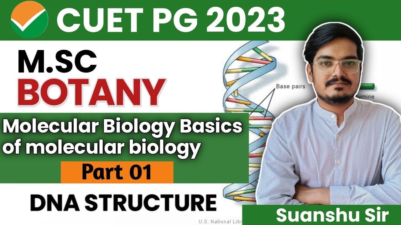 Cuet Pg M Sc Botany Cuet M Sc Botany Molecular Biology Basics Of