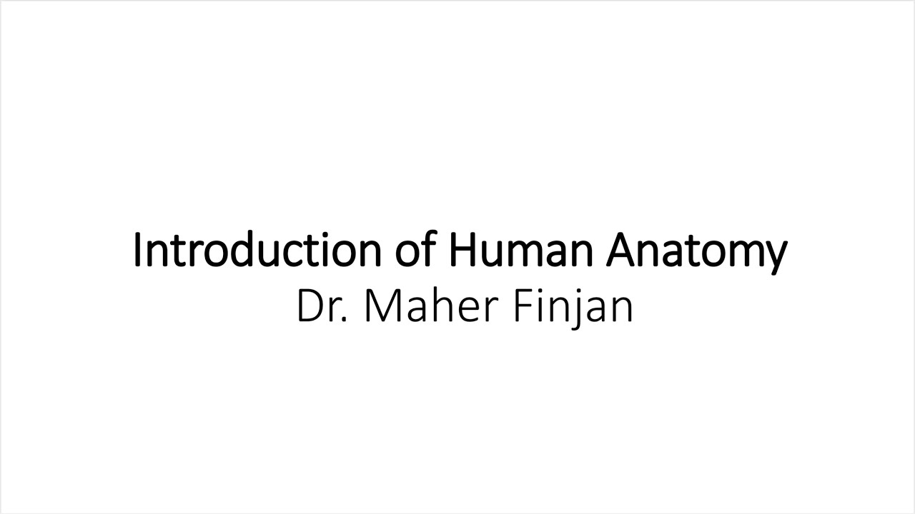Introduction Anatomy Youtube