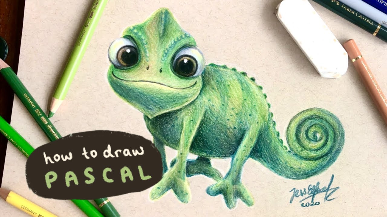 Pascal Tangled